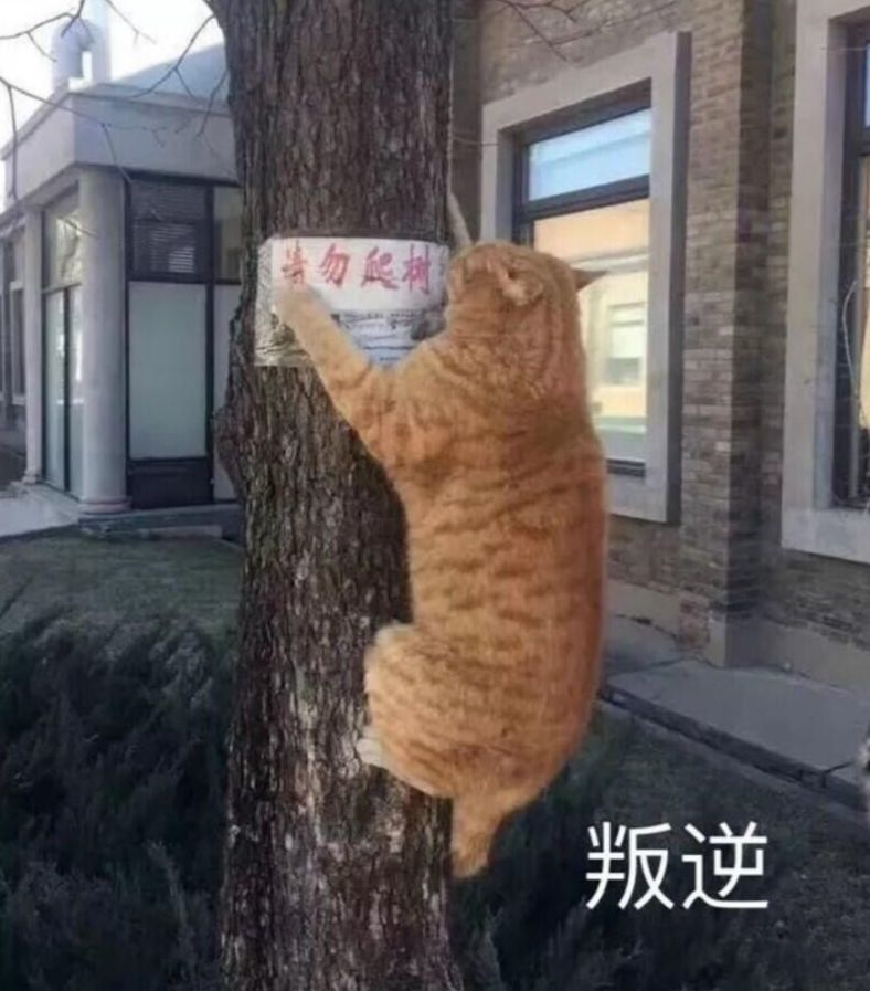 Lonsdor K518 Proの有料機能とサブスクリプション期間を確認するには？: 自動車ソリューション